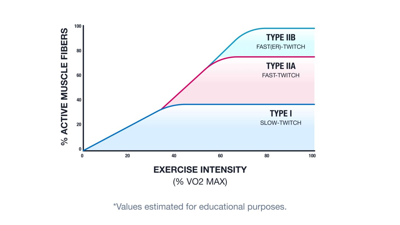 Zone 2 Training: Build Your Aerobic Capacity
