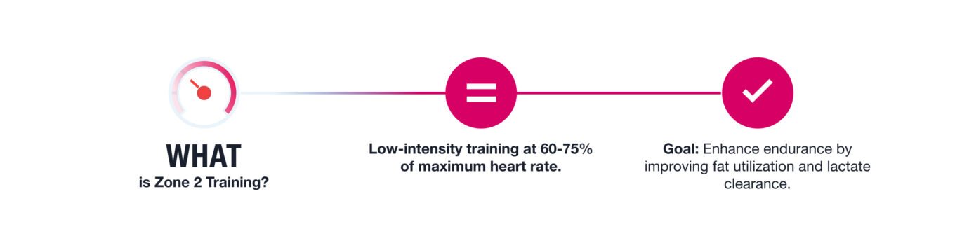 Zone 2 Training: Build Your Aerobic Capacity