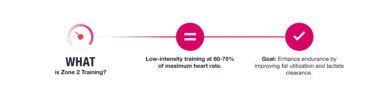 Zone 2 Training: Build Your Aerobic Capacity