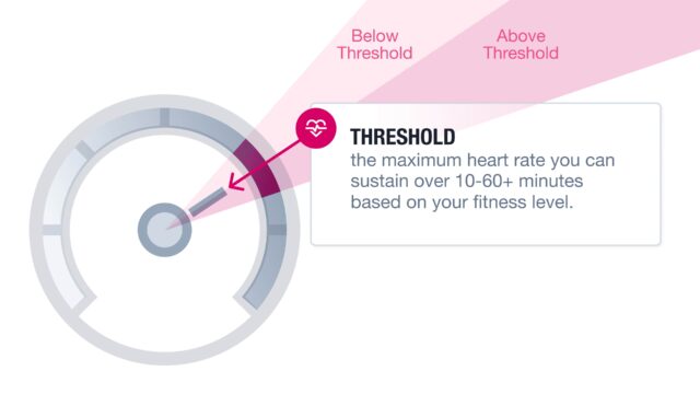 Does it Matter if Your Threshold Heart Rate is High or Low?
