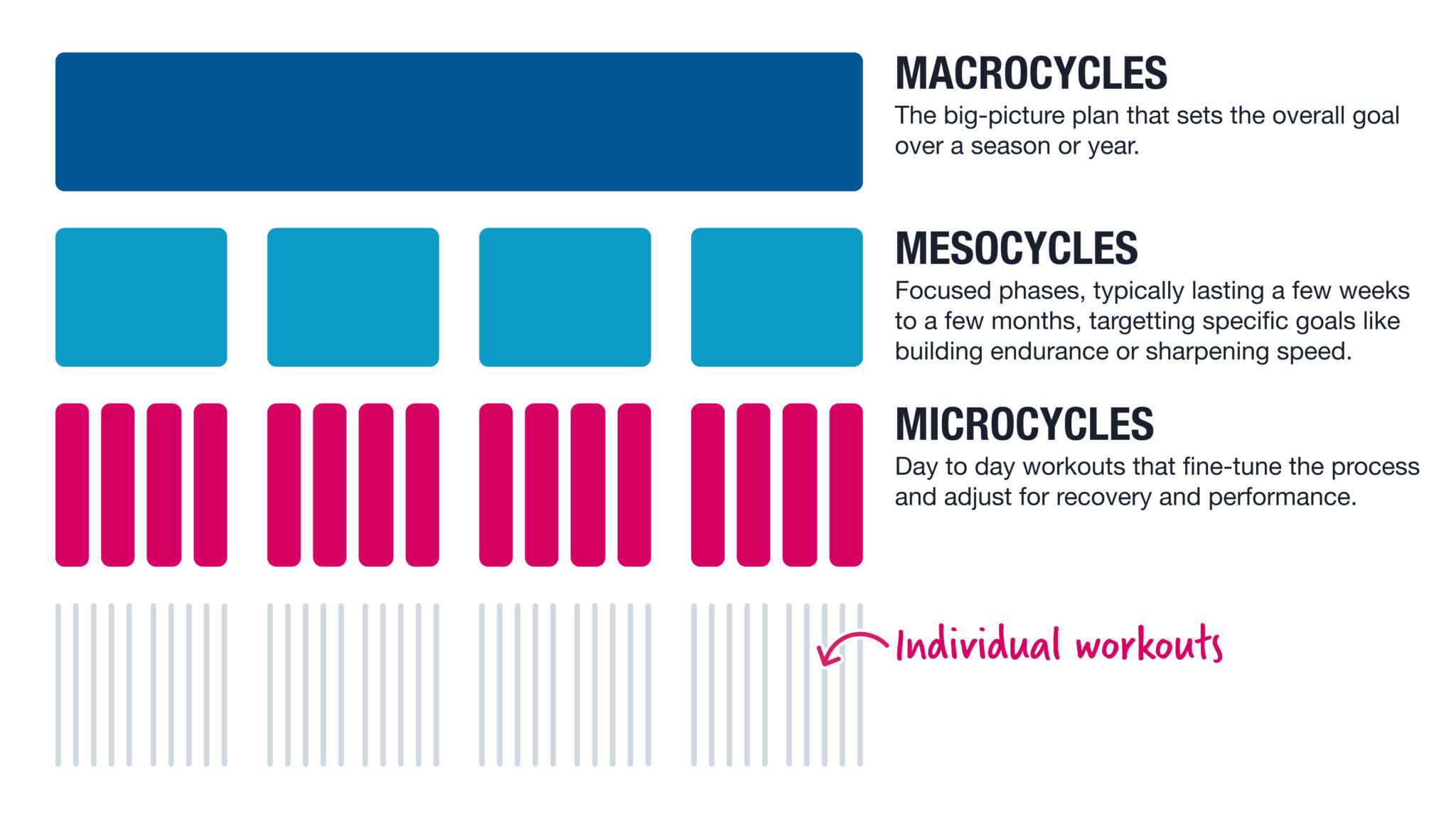 Macrocycles, Mesocycles, Microcycles: Periodized Training Explained
