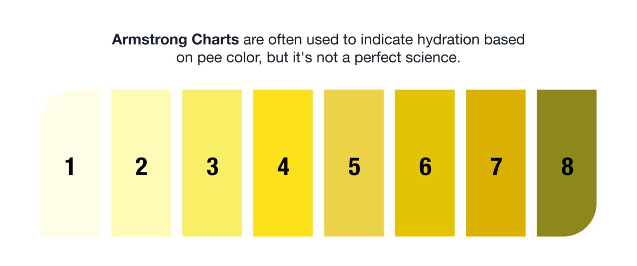 Does Peeing Clear Really Mean You're Hydrated?
