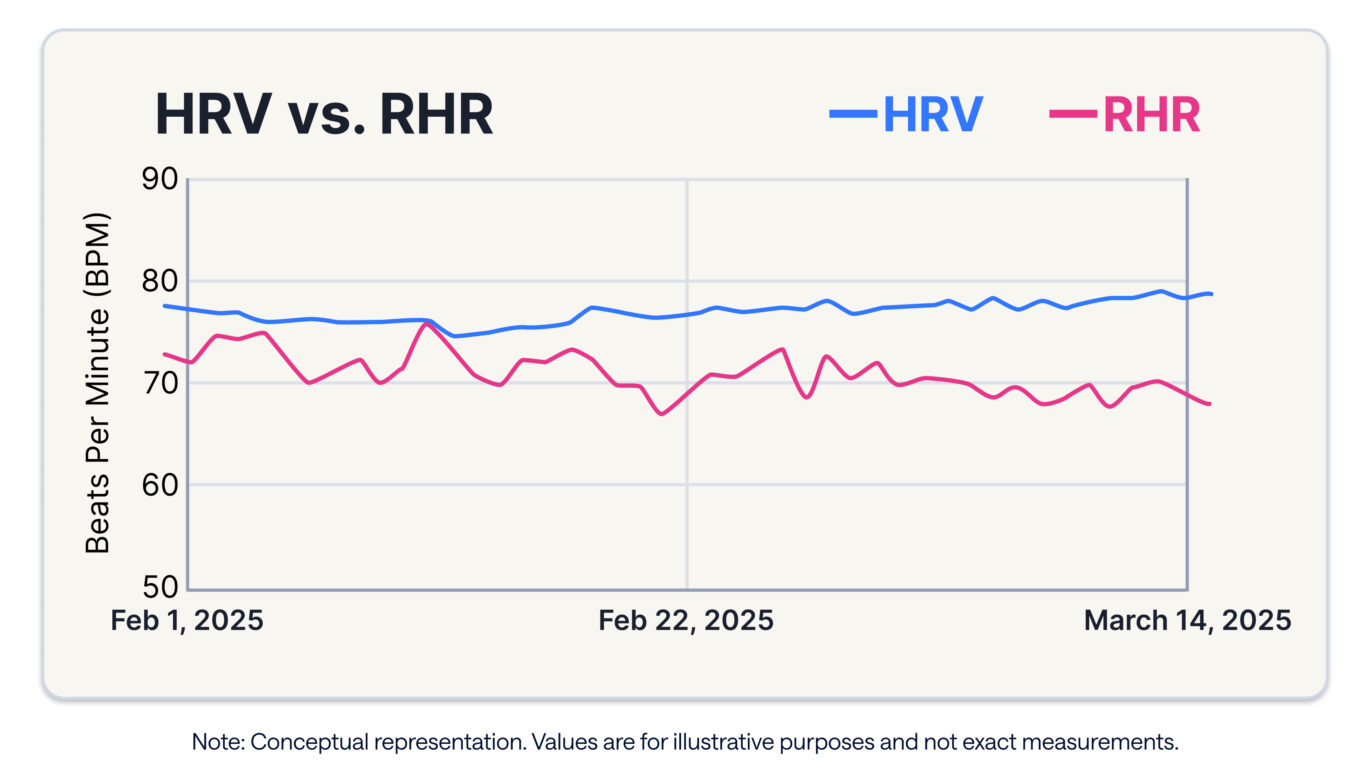 HRV Monitoring in the Base-Building Phase