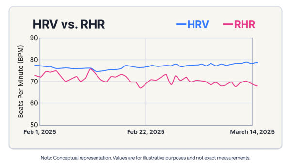 HRV Monitoring in the Base-Building Phase