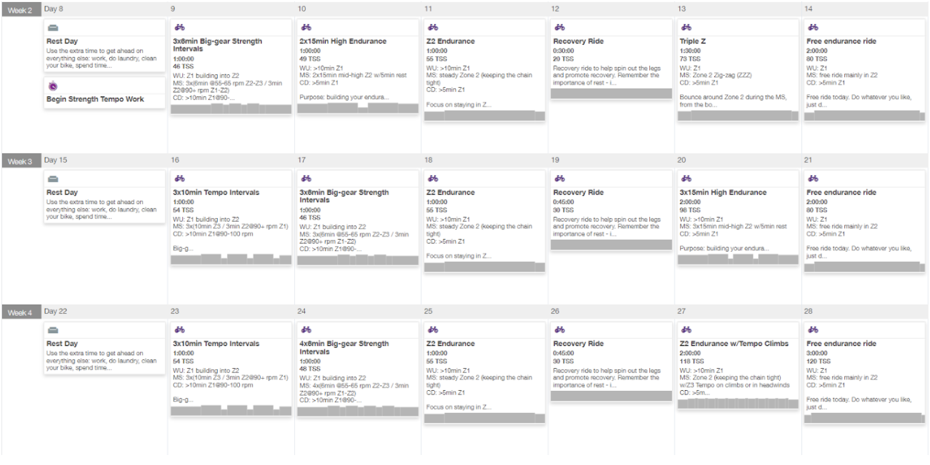The Science Behind Building an Aerobic Base