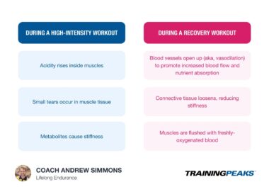 What Is a Recovery Run?