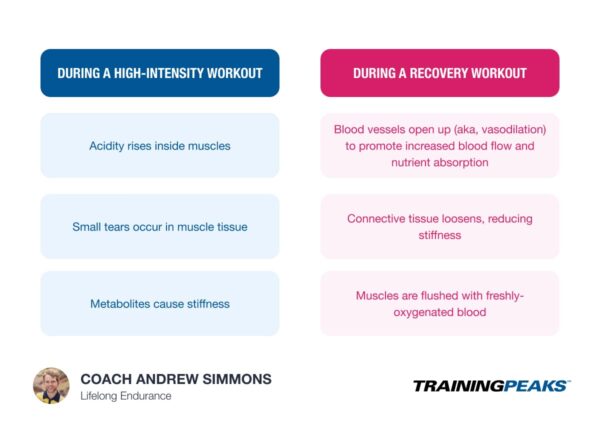 What Is a Recovery Run?