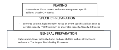 Exploring Types of Periodization