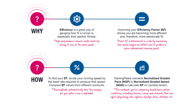 What Is Running Efficiency and How Is It Measured?