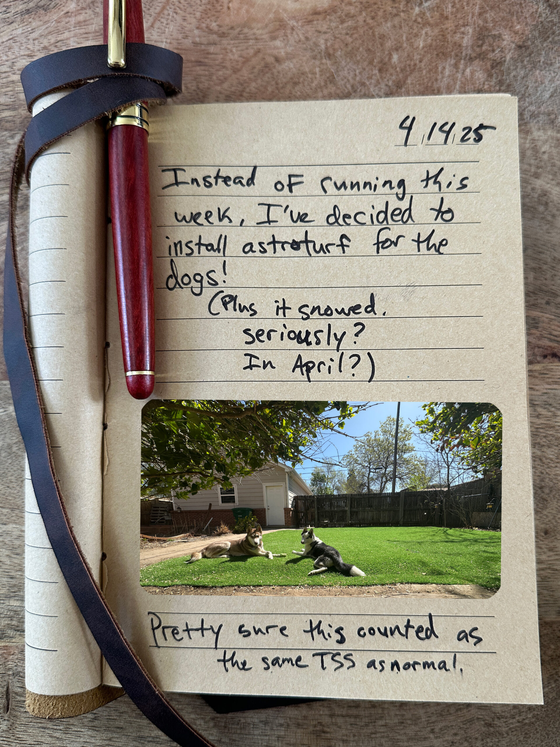 Casey Serrano | TrainingPeaks